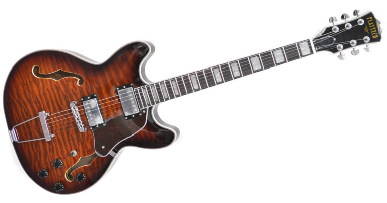 PLAYTECH(プレイテック)のギターは当たり外れがある？評判は？ | the Guitar-ism