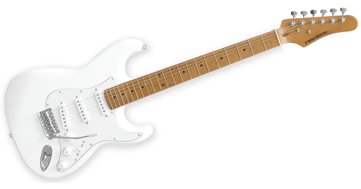 PLAYTECH(プレイテック)のギターは当たり外れがある？評判は？ | the Guitar-ism