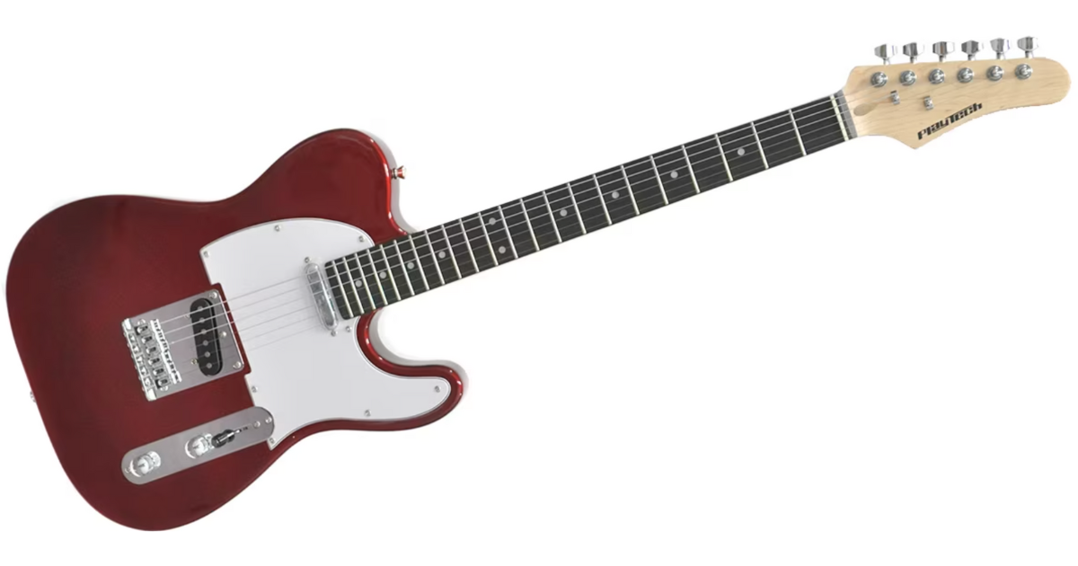 PLAYTECH(プレイテック)のギターは当たり外れがある？評判は？ | the Guitar-ism