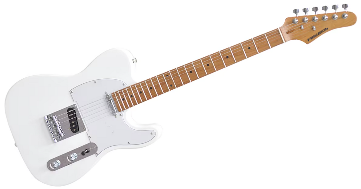 PLAYTECH(プレイテック)のギターは当たり外れがある？評判は？ | the Guitar-ism